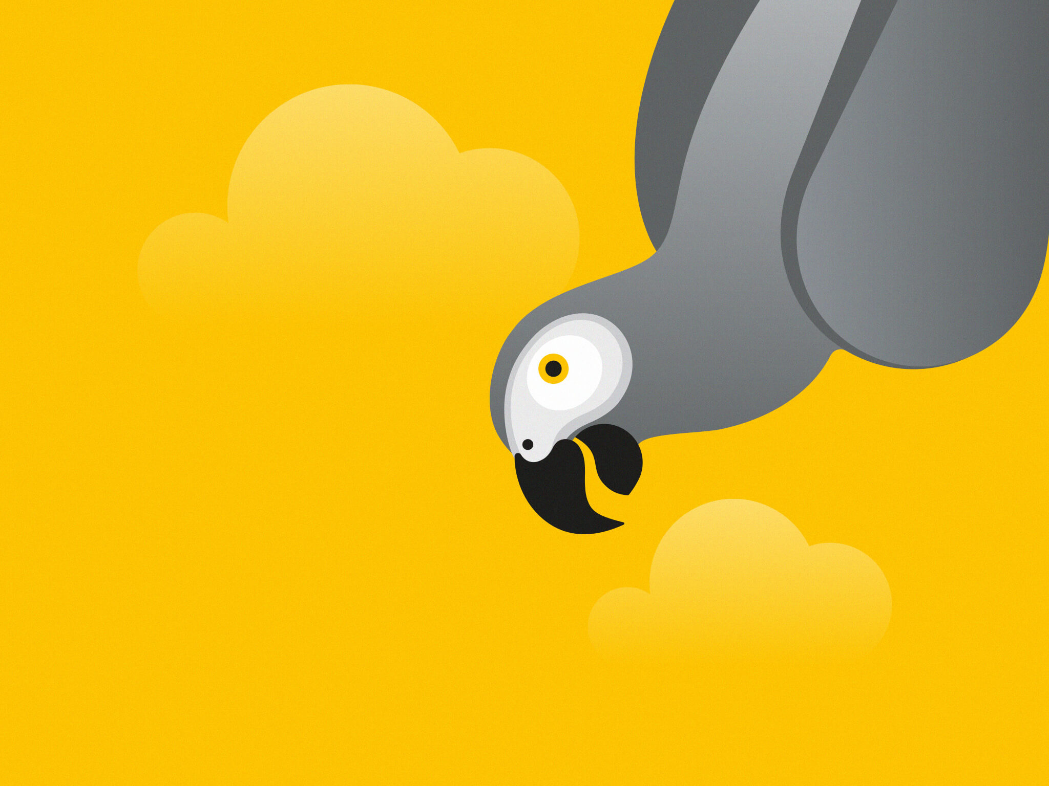 Africa’s most exciting Airline.