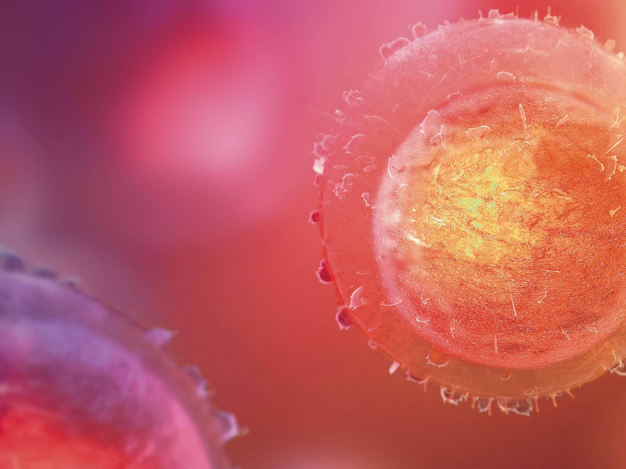 The Leading Brand Consultancy For Cancer Research UK The Biggest Charity In The Country the-leading-brand-consultancy-for-cancer-research-uk-the-biggest-charity-in-the-country